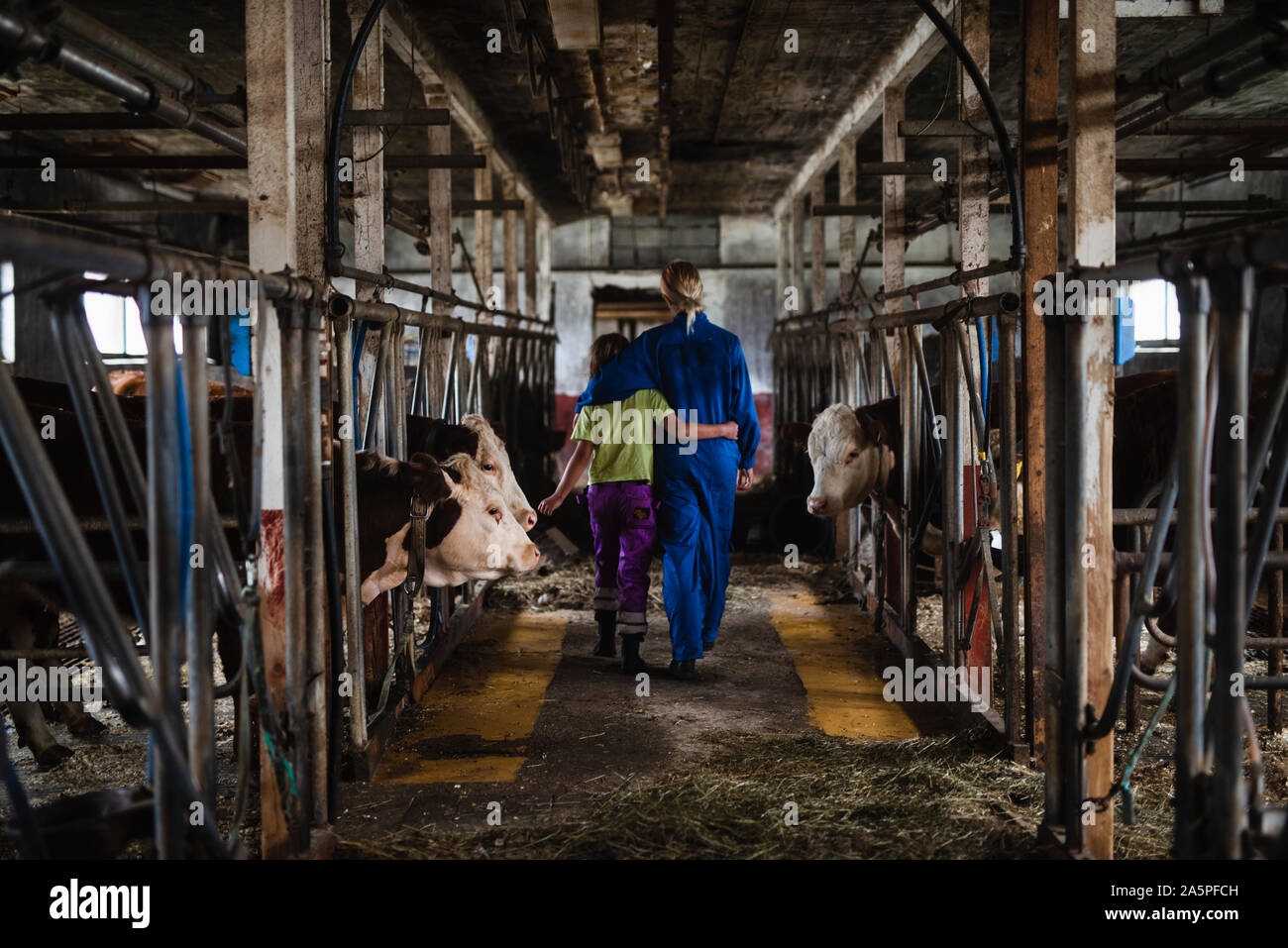 Woman walking rear view cattle hi-res stock photography and images - Alamy