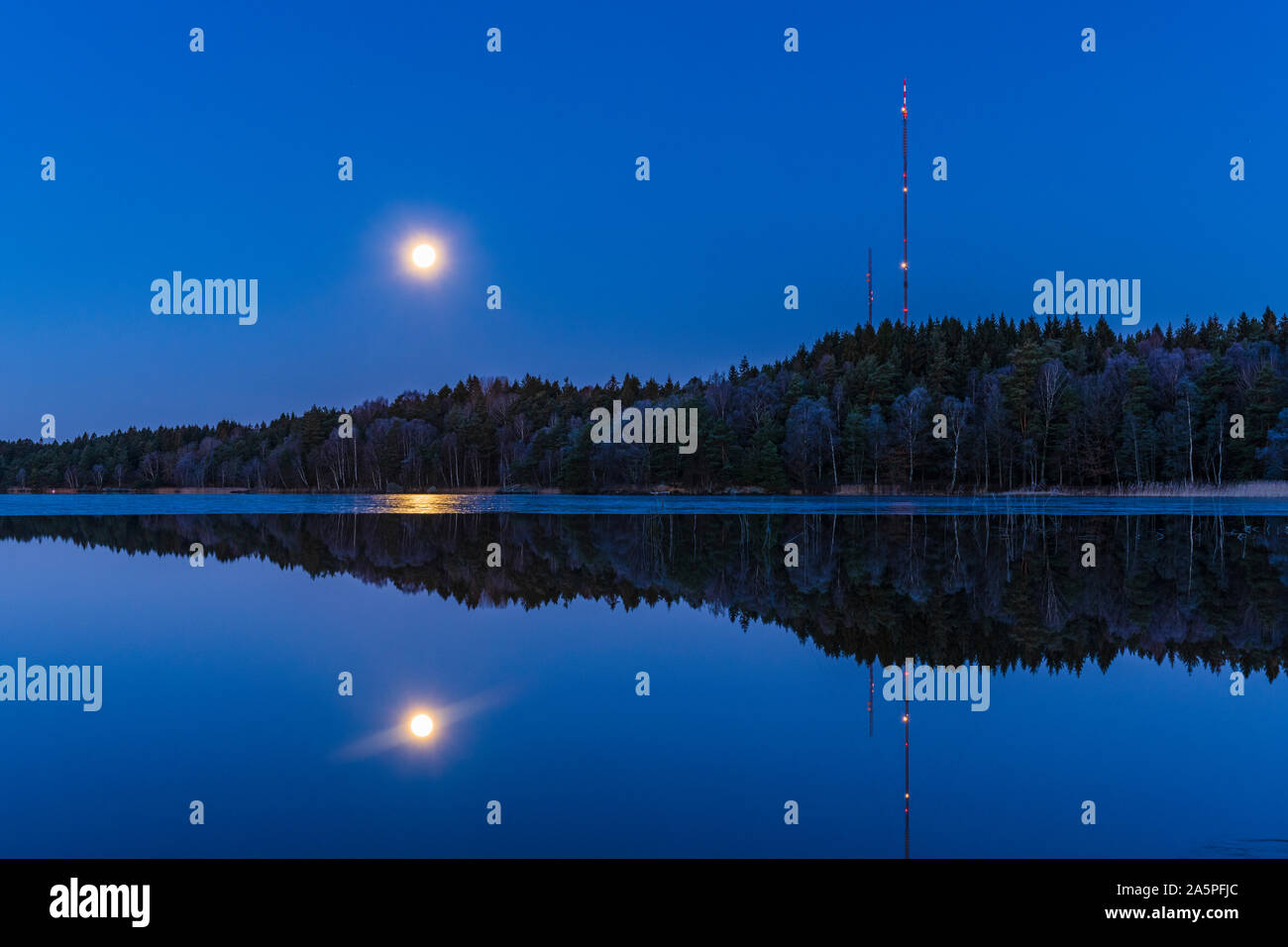Moon rising over forest hi-res stock photography and images - Alamy