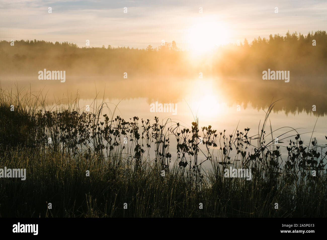 Fog over lake Stock Photo - Alamy