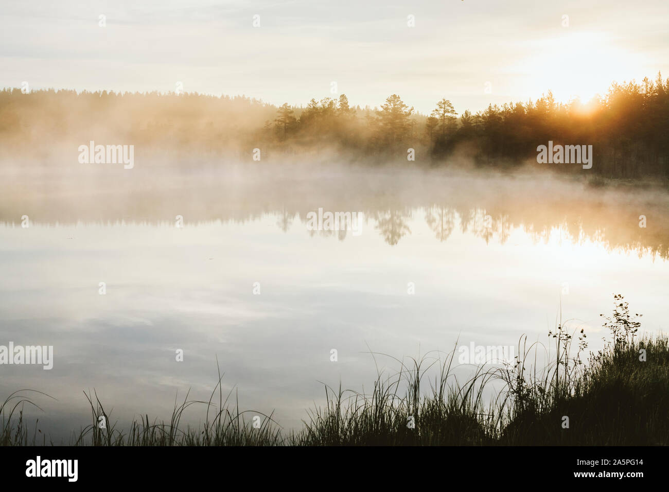Fog over lake Stock Photo - Alamy