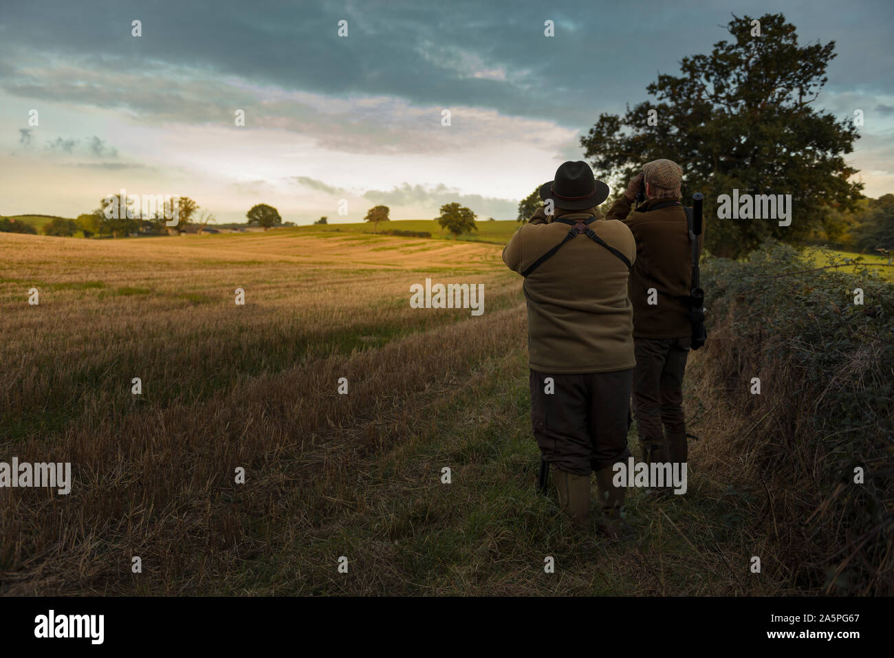Two hunters looking at field Stock Photo - Alamy