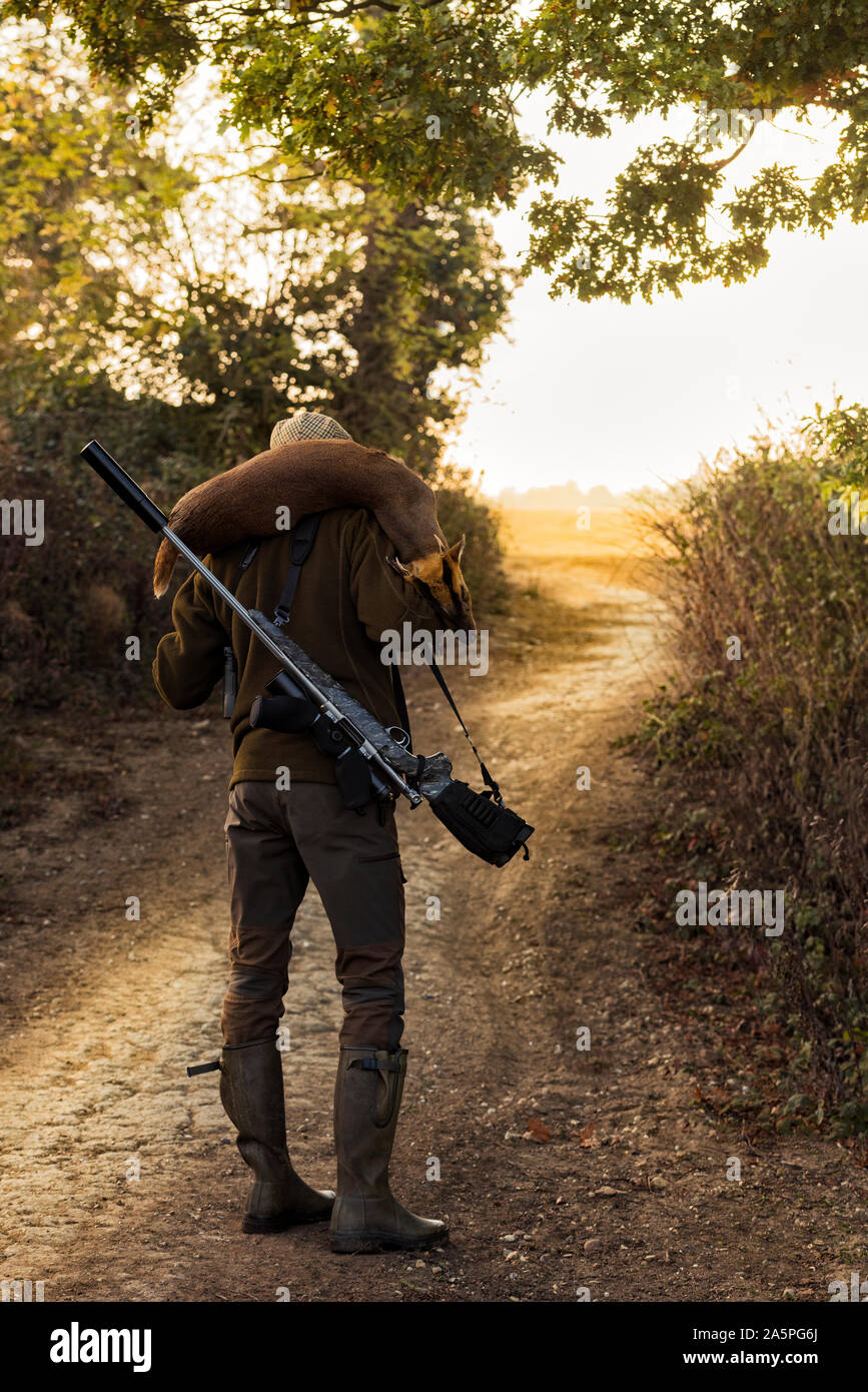 Hunter carrying dead deer Stock Photo - Alamy
