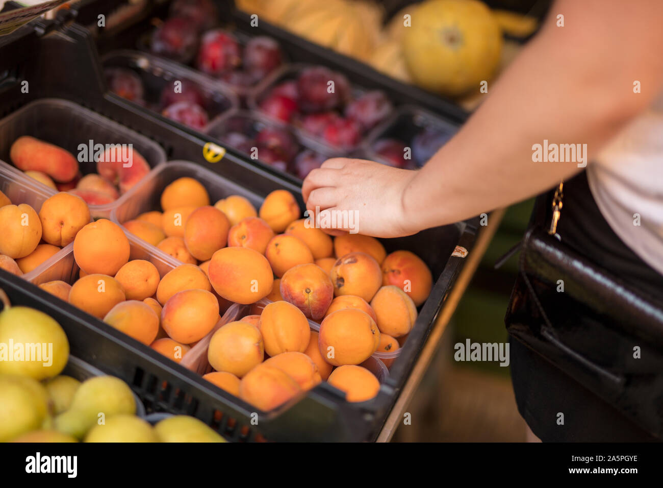 Checking purchasing hi-res stock photography and images - Alamy