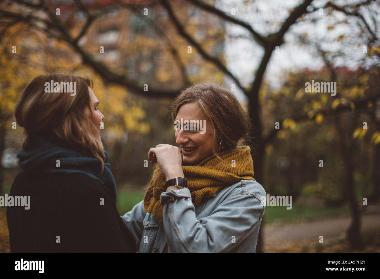 Friends autumn hi-res stock photography and images - Alamy