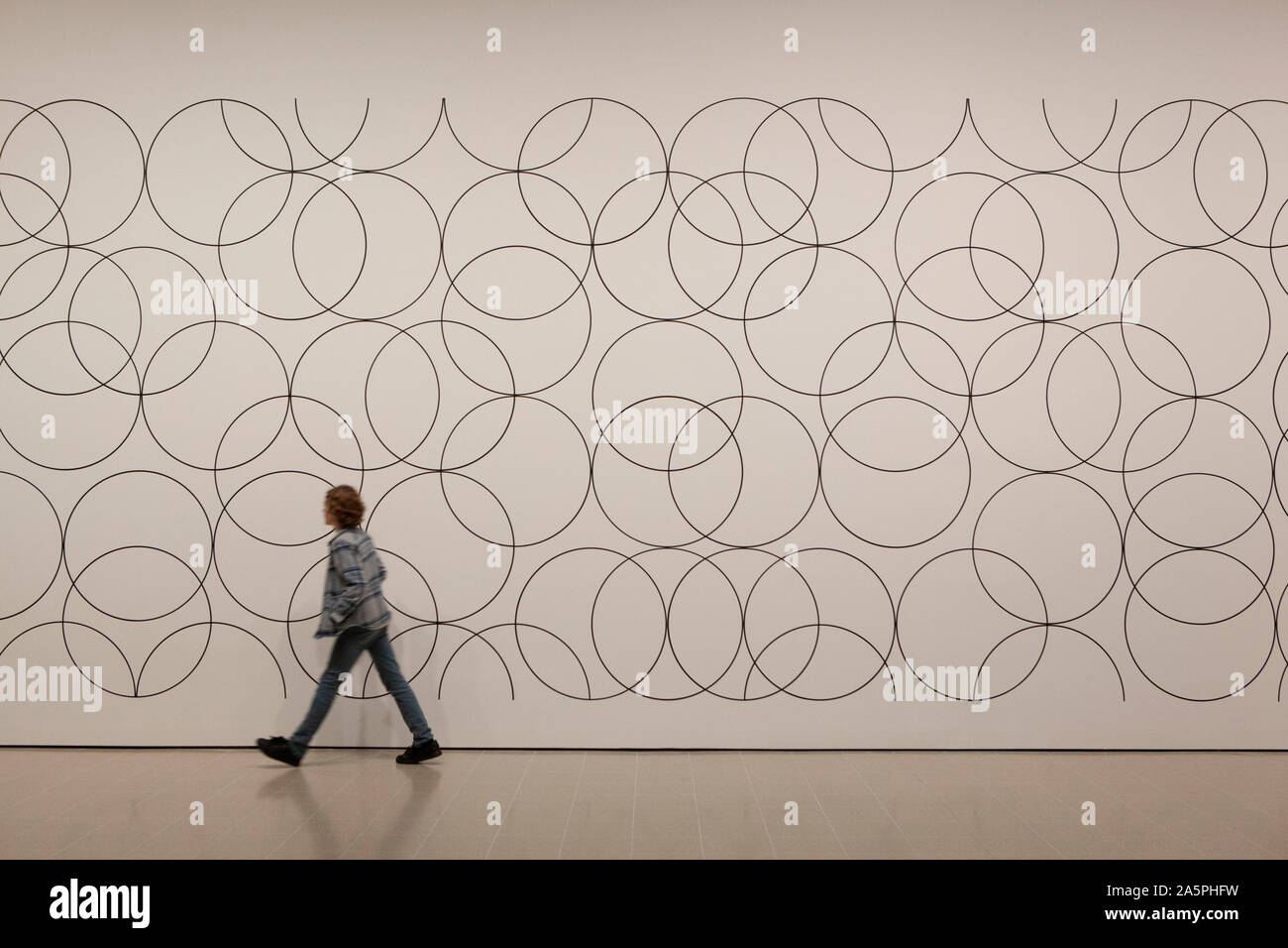 Bridget Riley Circle