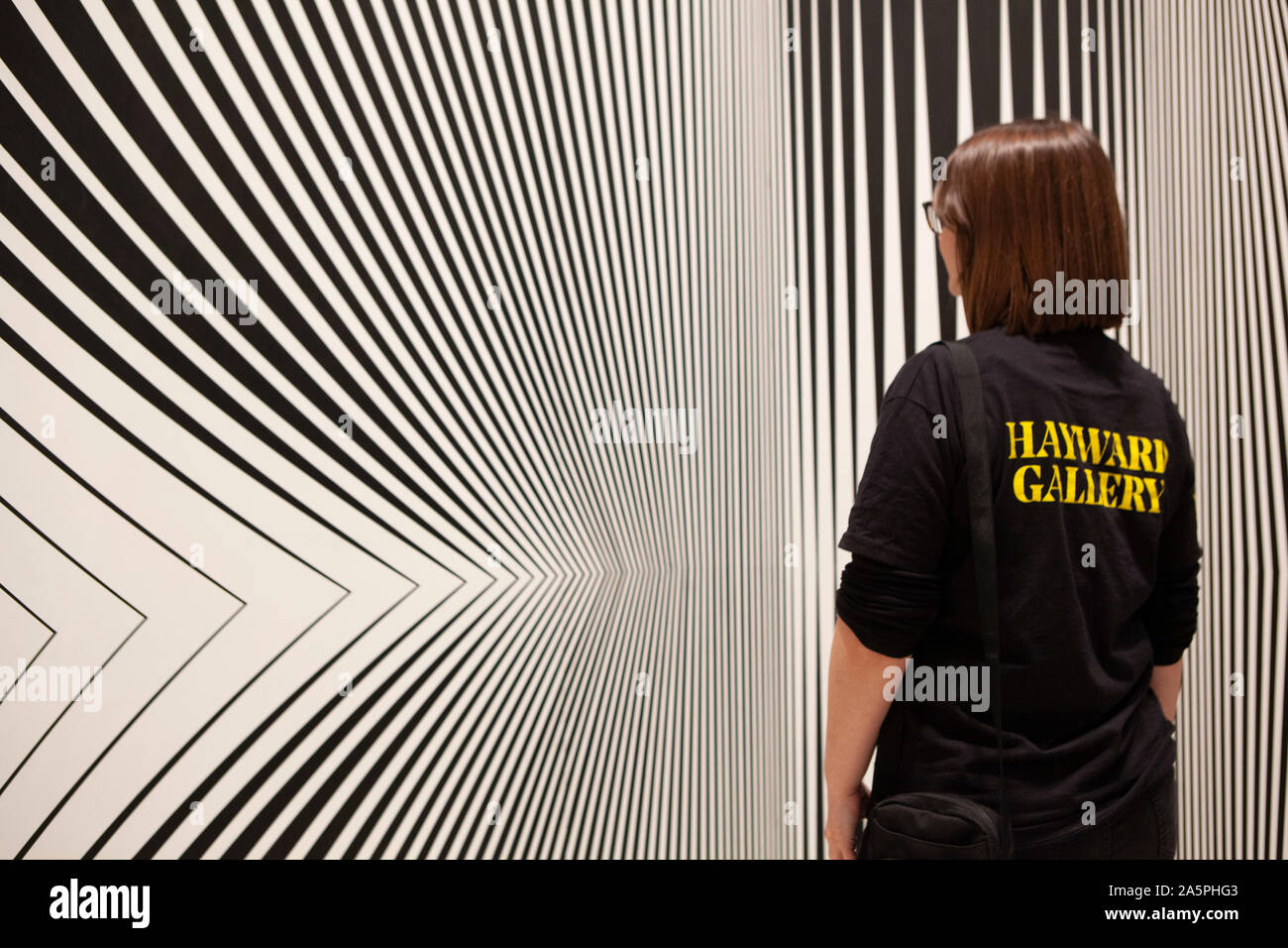 Bridget riley continuum hi-res stock photography and images - Alamy