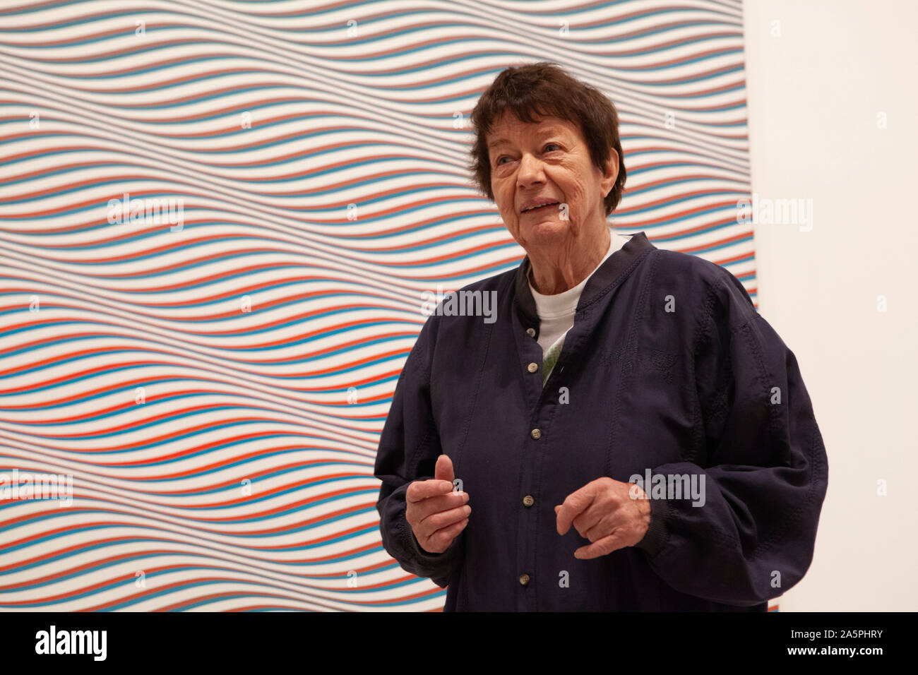 A retrospective of work by British op-art specialist Bridget Riley ...