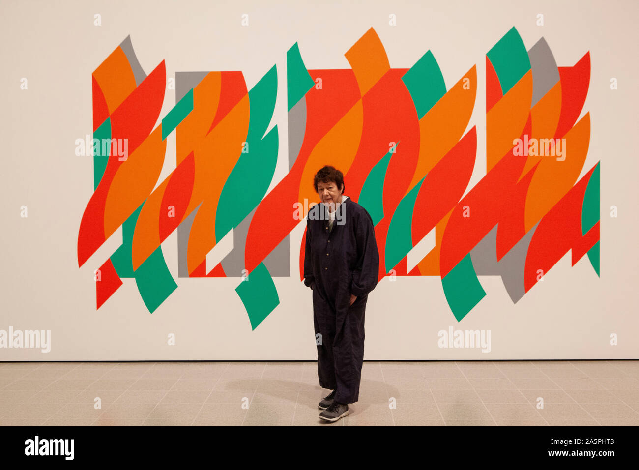A retrospective of work by British op-art specialist Bridget Riley ...