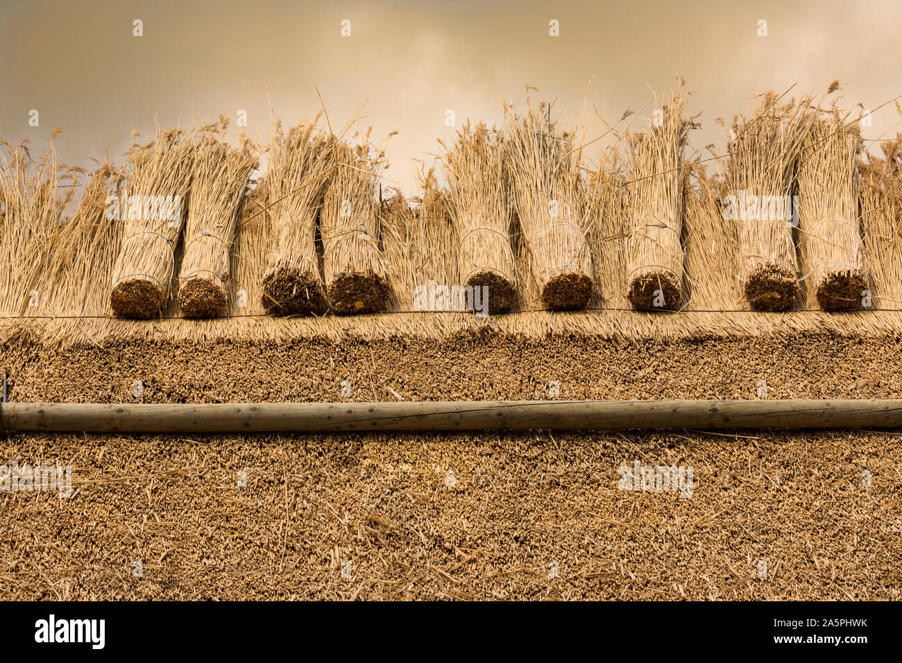 Reed roof texture hi-res stock photography and images - Alamy