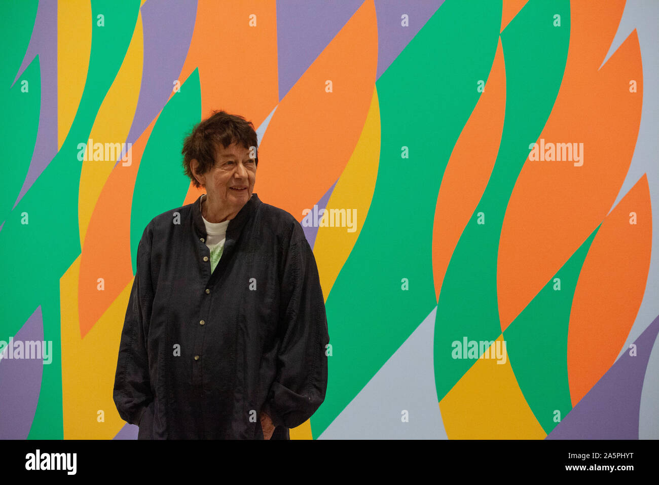 Bridget riley portrait hi-res stock photography and images - Alamy