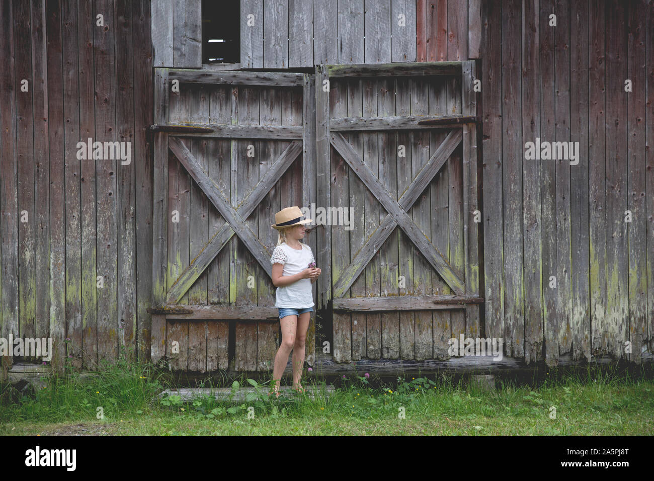 Girl standing in front of barn Stock Photo - Alamy