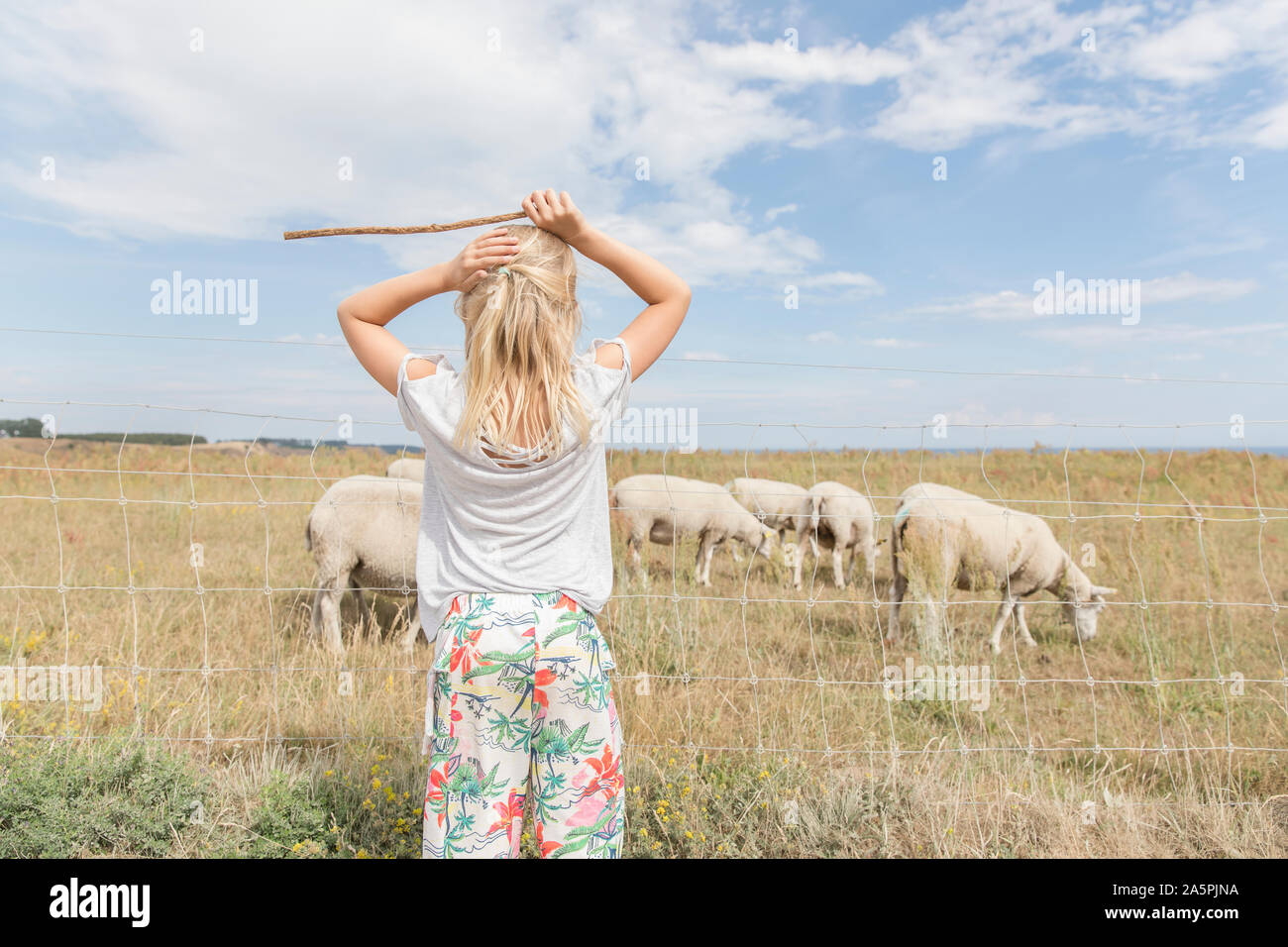 Girl looking sheep on hi-res stock photography and images - Alamy