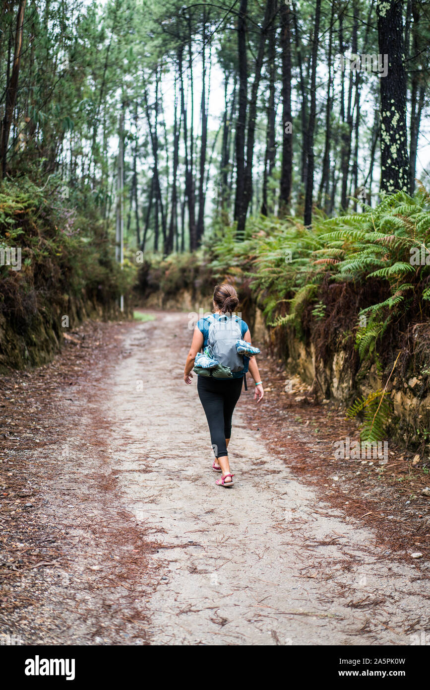 Pilgrim walking camino portuguese on the way near of the Viana do ...