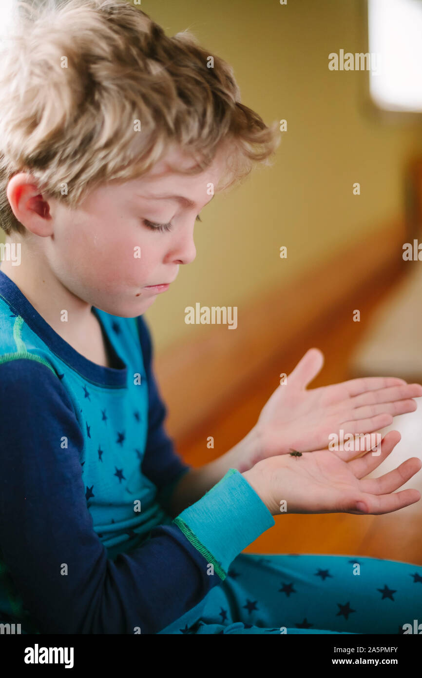 Boy looking at fly Stock Photo - Alamy