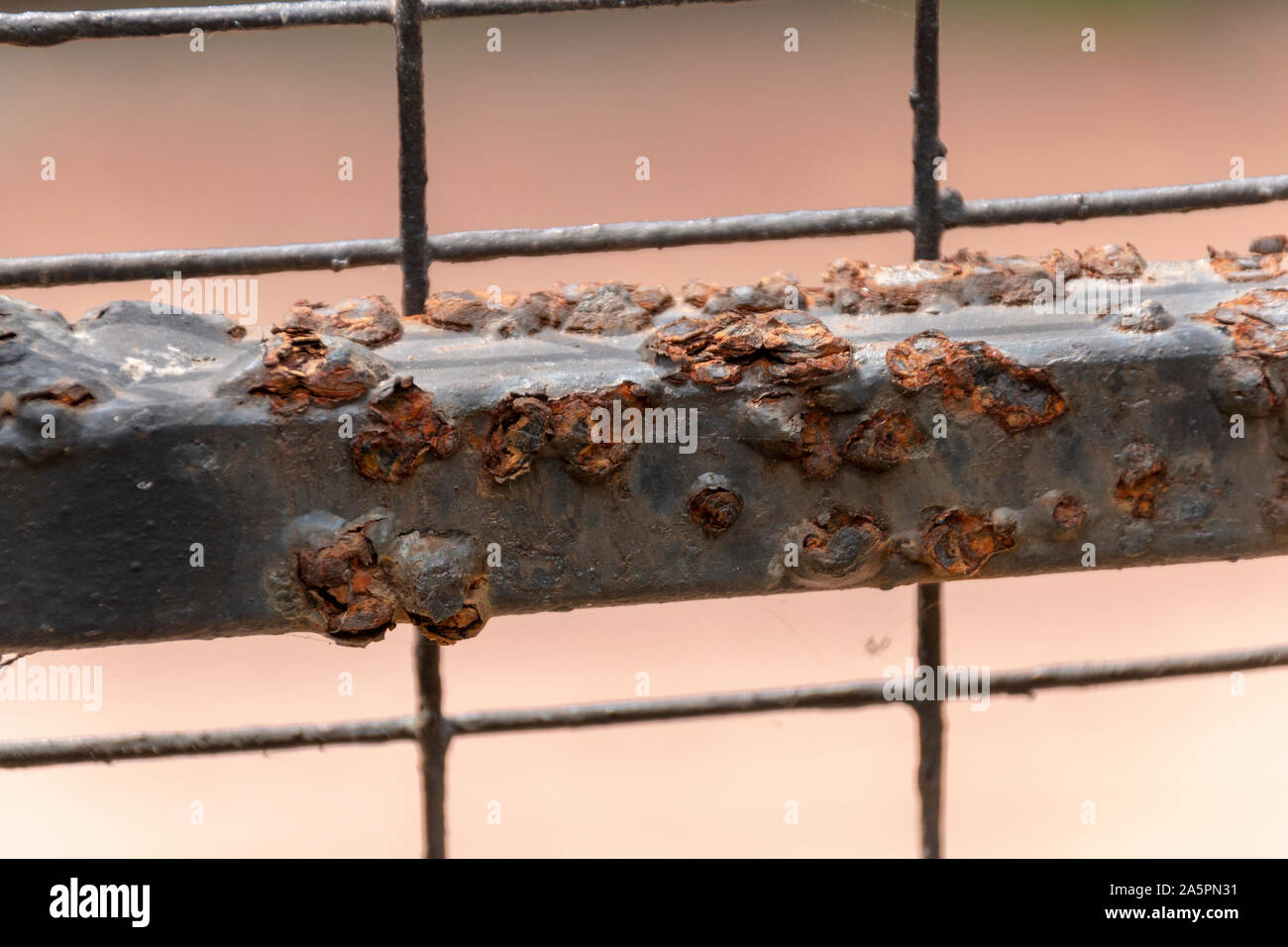 Wire mesh gate hi-res stock photography and images - Alamy