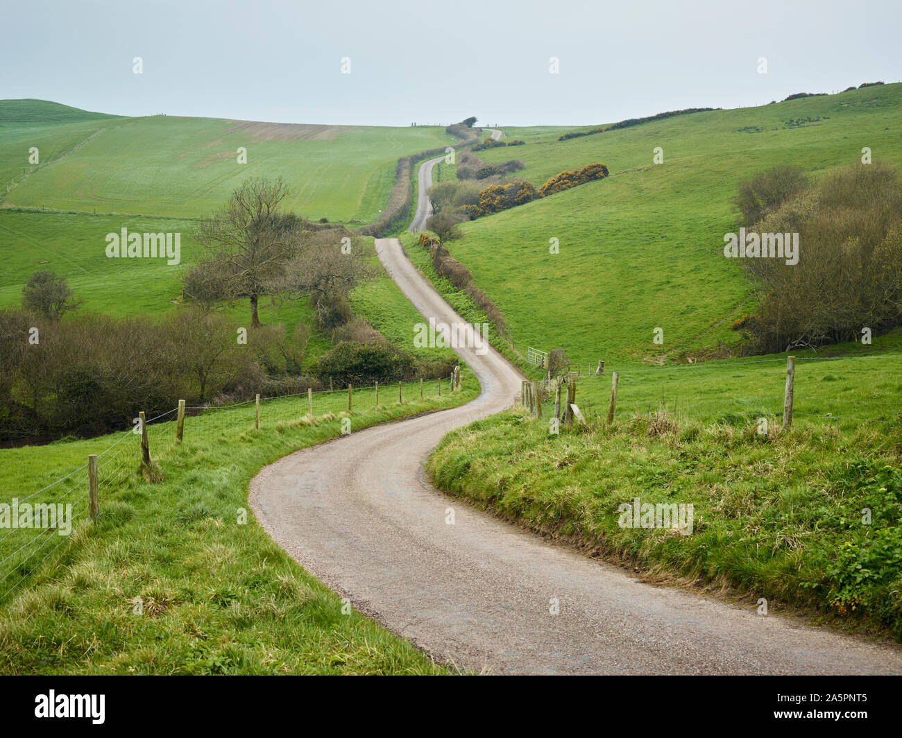Dirt track trough rural landscape Stock Photo - Alamy