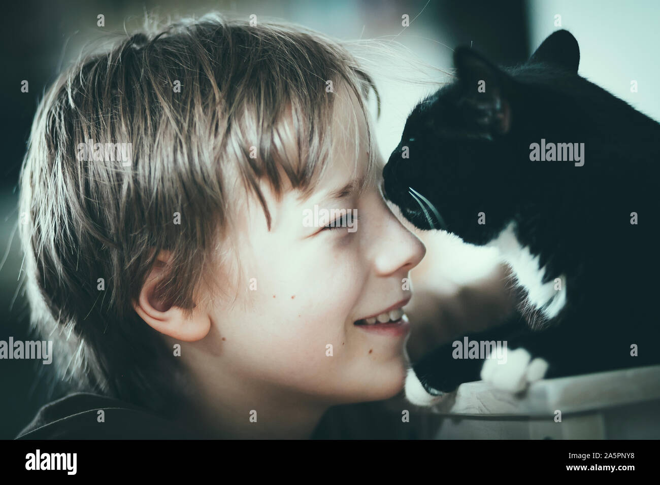 Boy with cat Stock Photo - Alamy