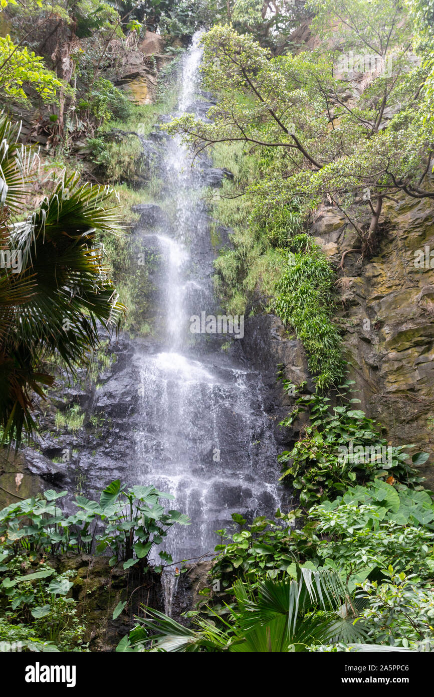 Waterfall plants hi-res stock photography and images - Alamy