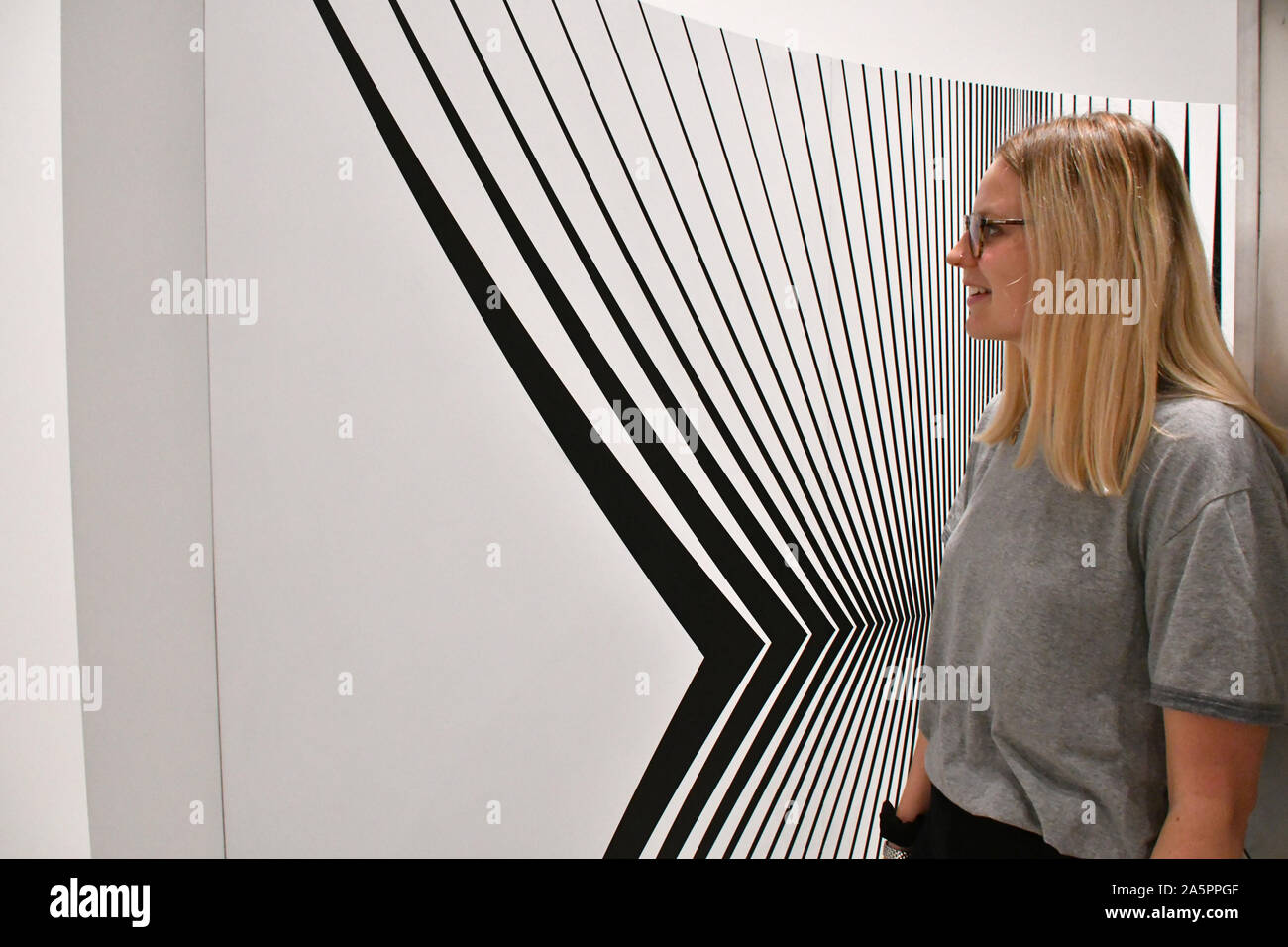 Bridget riley continuum hi-res stock photography and images - Alamy