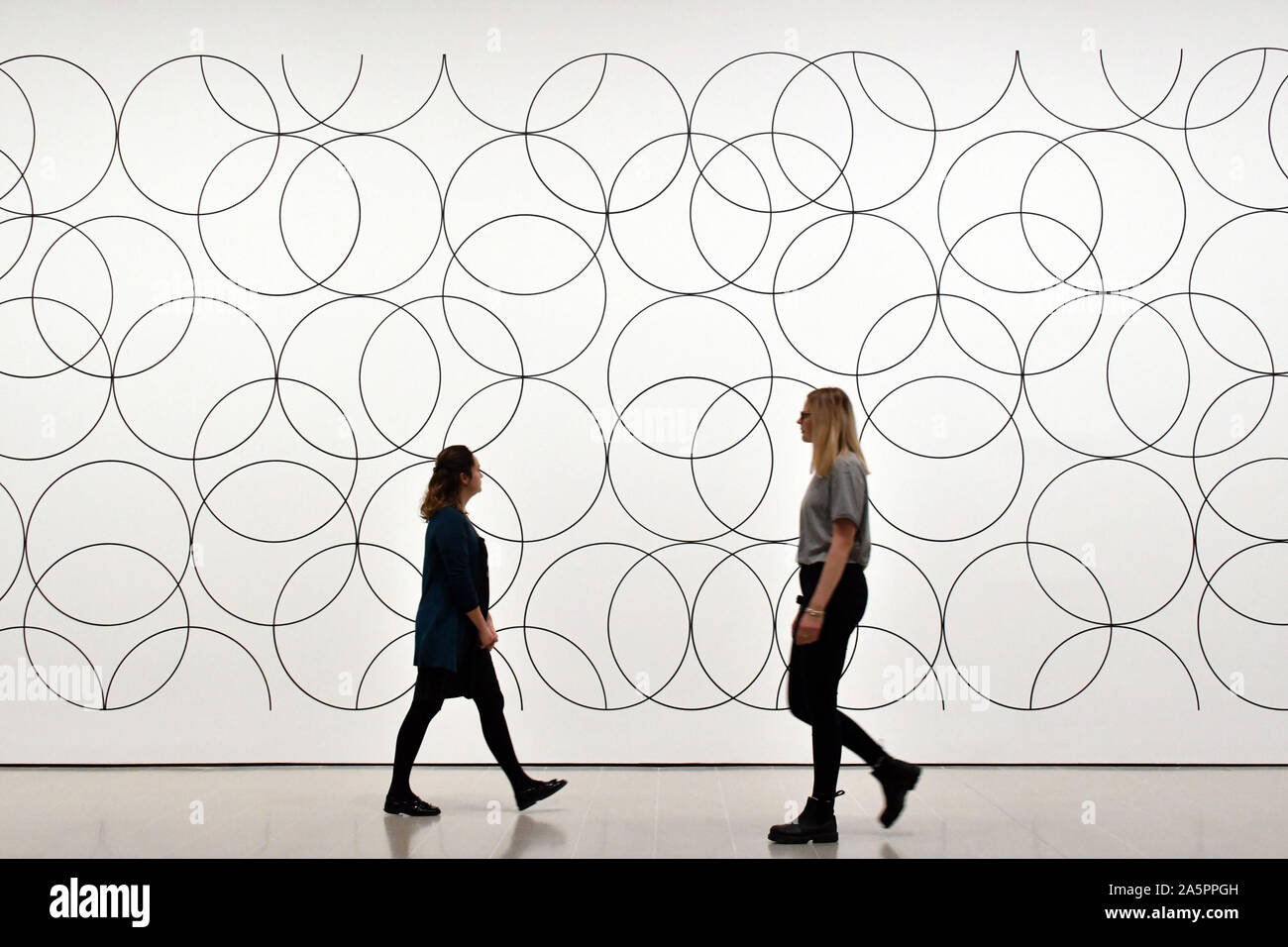 Bridget Riley Circle