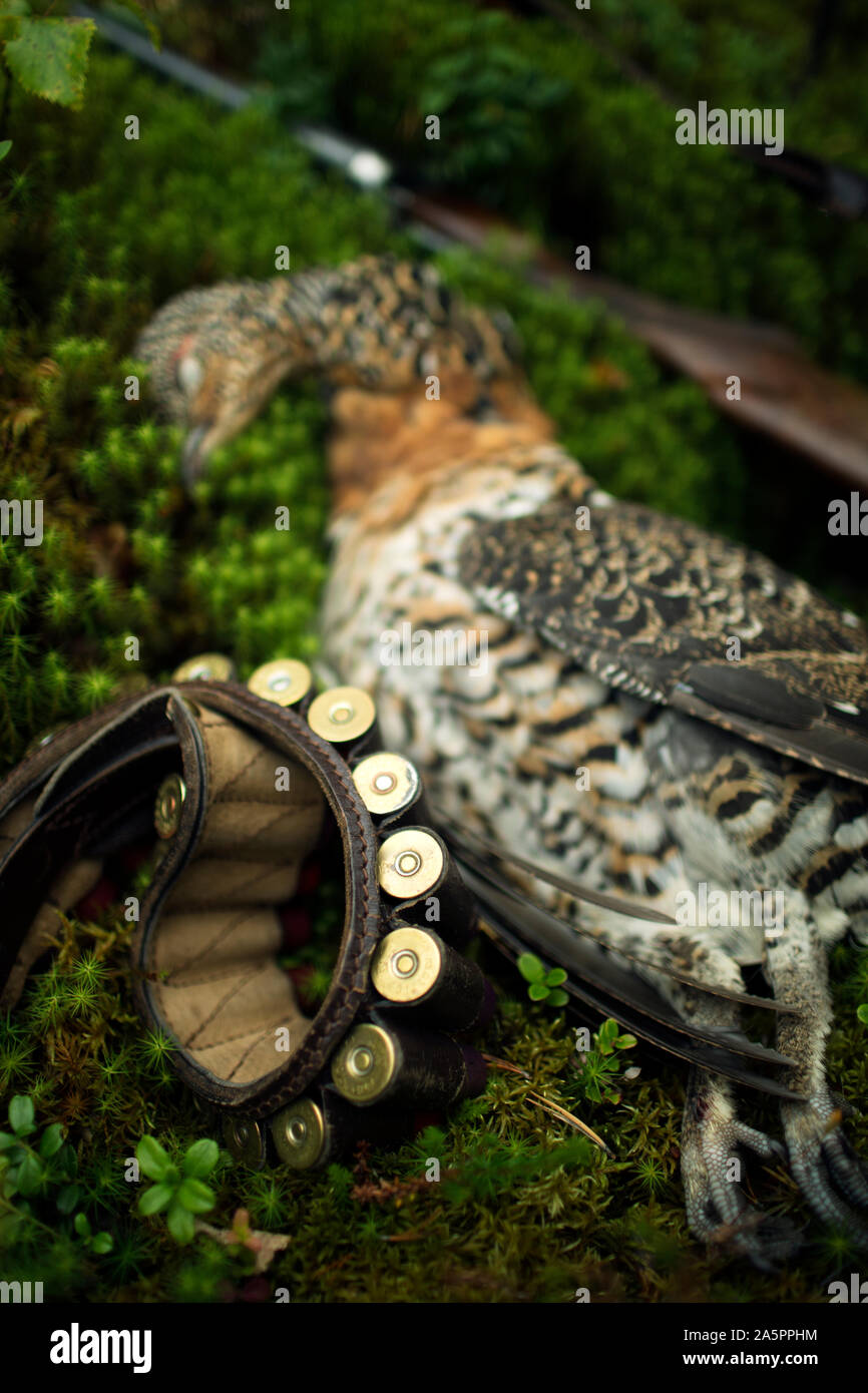 Bullet belt hi-res stock photography and images - Alamy