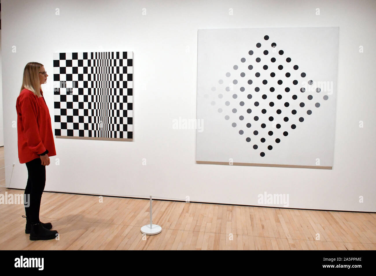 Bridget Riley Movement In Squares