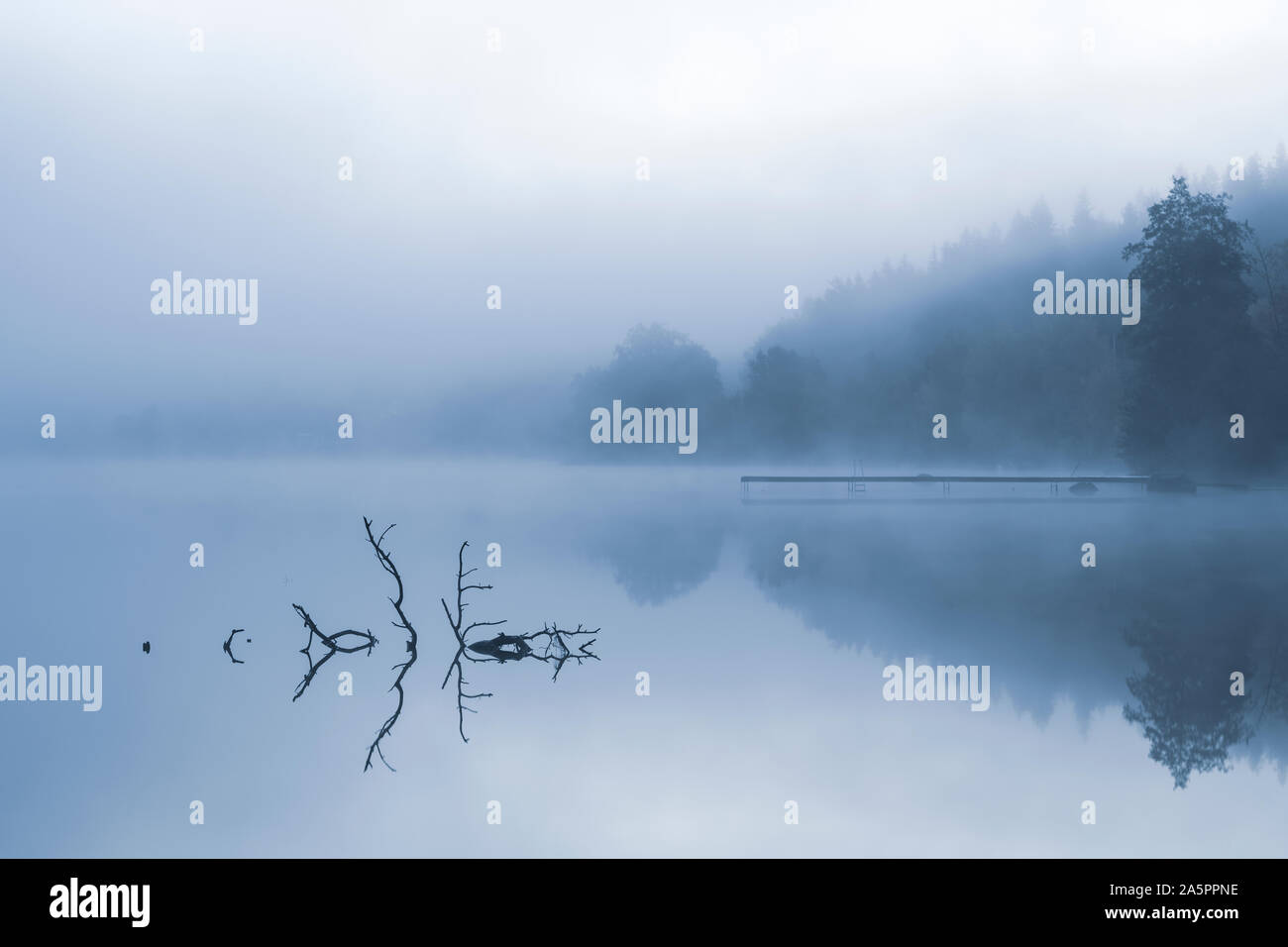 Lake in morning fog Stock Photo - Alamy