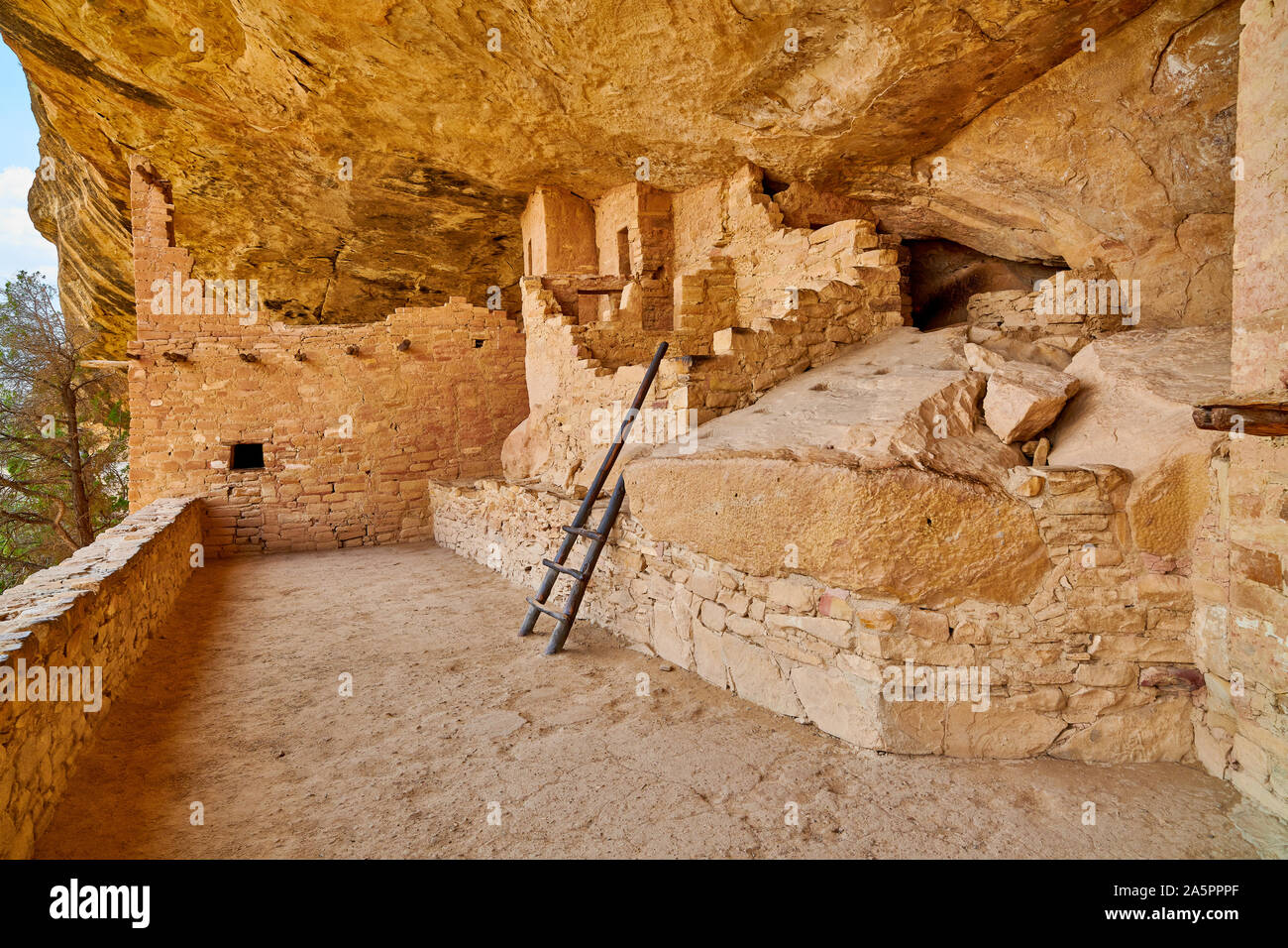 Mesa verde national park ladder hi-res stock photography and images - Alamy