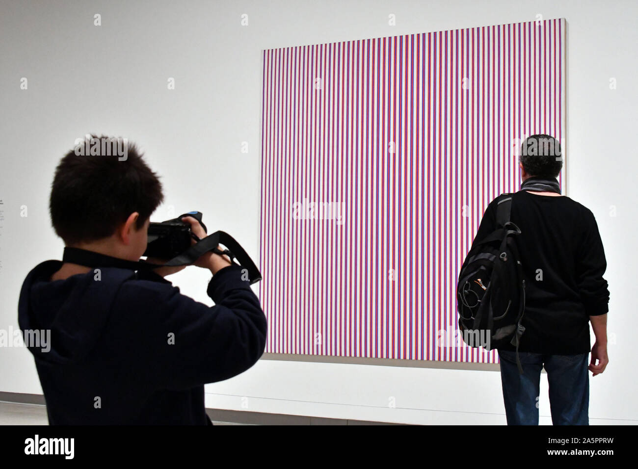Hayward Gallery, London, UK. 22nd Oct 2019. Bridget Riley, Chant 2 ...