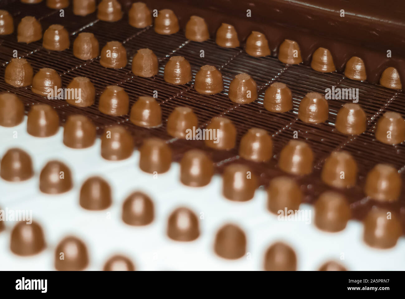 Production chocolates factory conveyor hi-res stock photography and ...