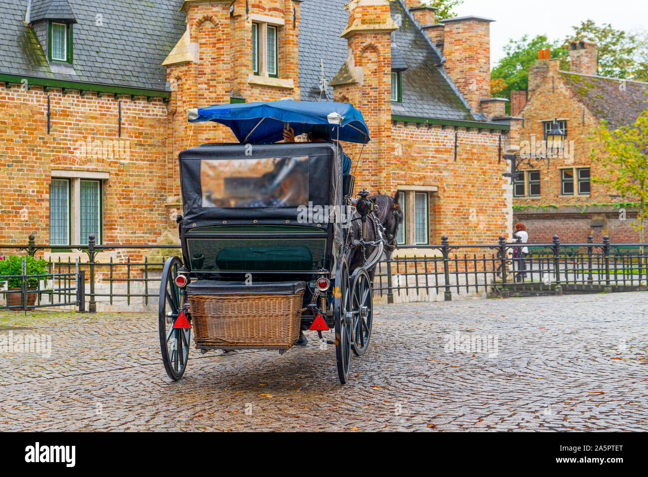 Rear view, back view of horse-drawn carriage goes to the direction of ...