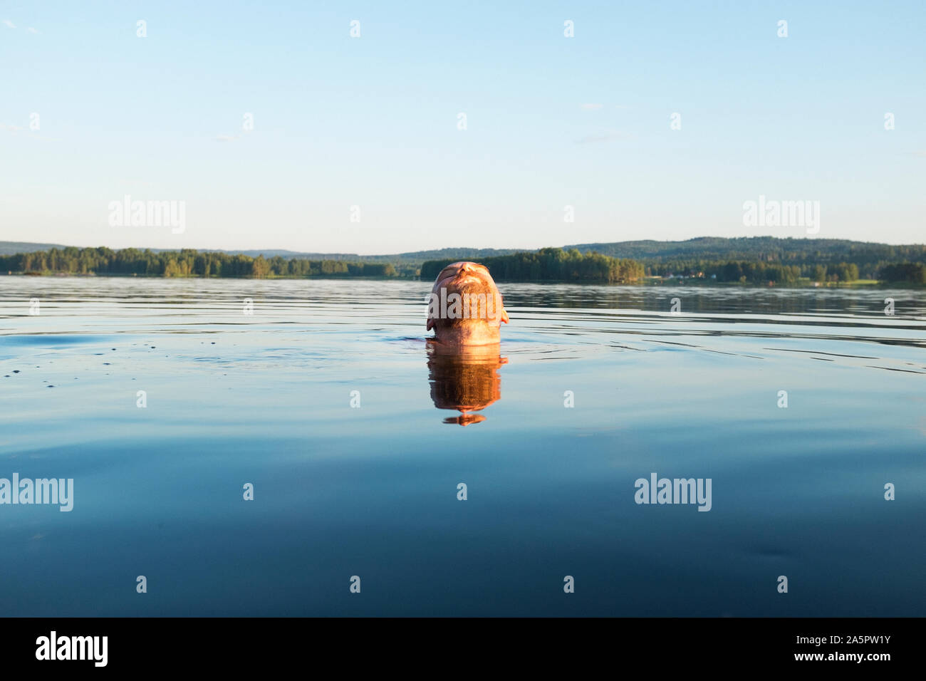 Swimming men hi-res stock photography and images - Alamy