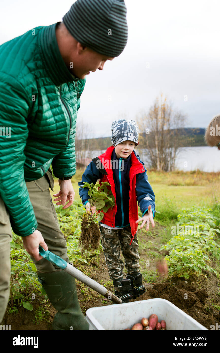 Father child, vegetable garden hi-res stock photography and images - Alamy