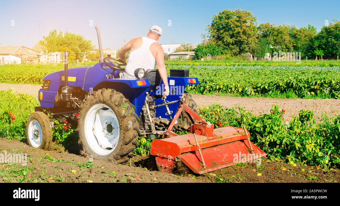 Agricultural overproduction hi-res stock photography and images - Alamy