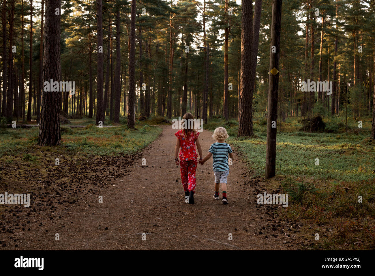 Two girls walking through forest hi-res stock photography and images ...