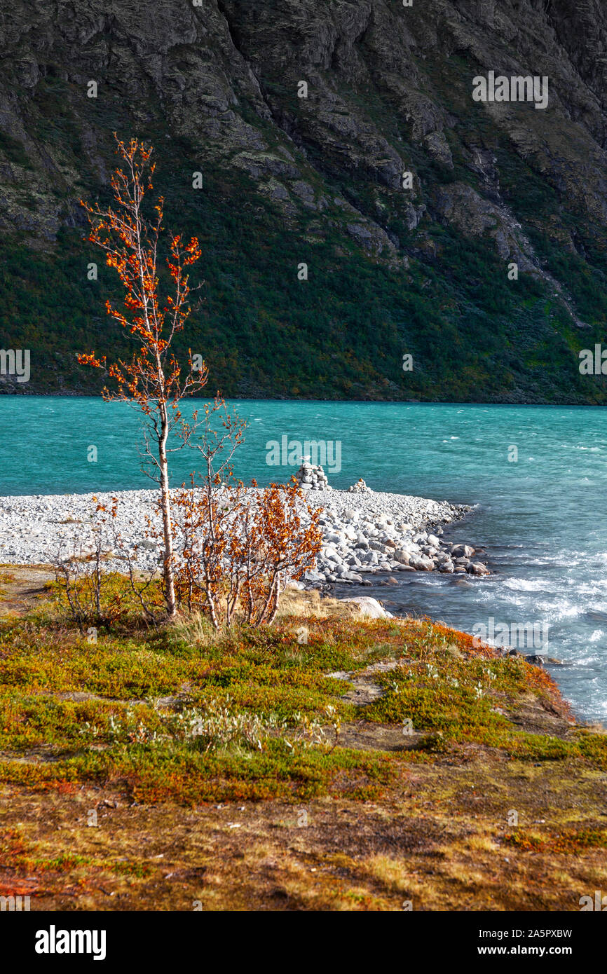 Landscape with river Stock Photo - Alamy