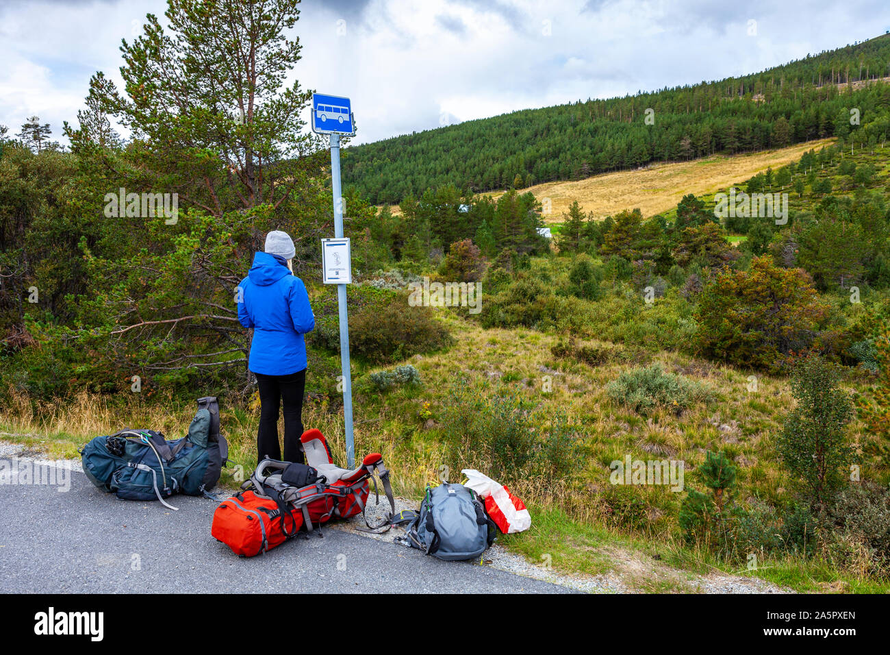 Woman at bus stop Stock Photo - Alamy