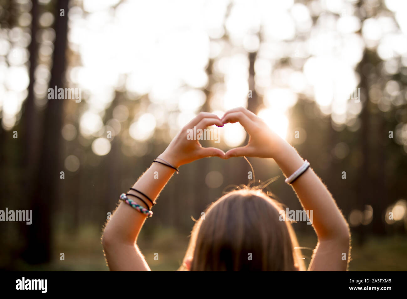 Human heart rear view hi-res stock photography and images - Alamy