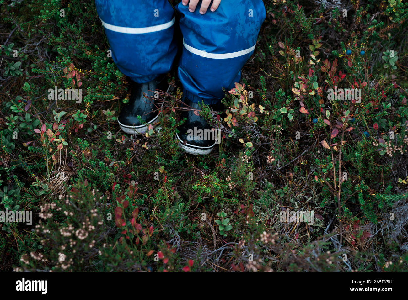 Kids legs hi-res stock photography and images - Alamy