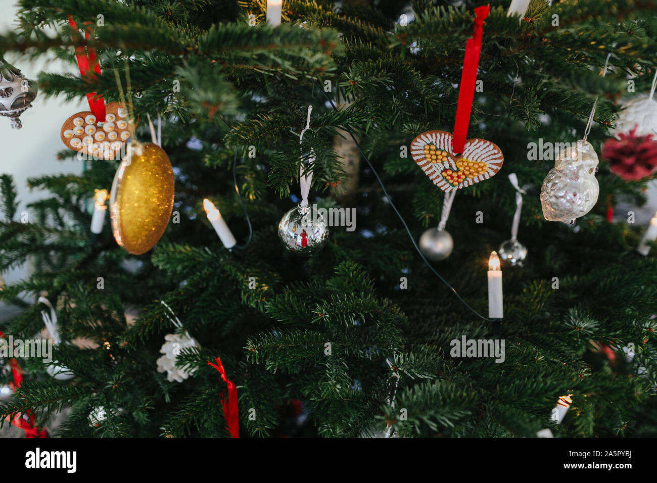 Christmas tree, close-up Stock Photo - Alamy