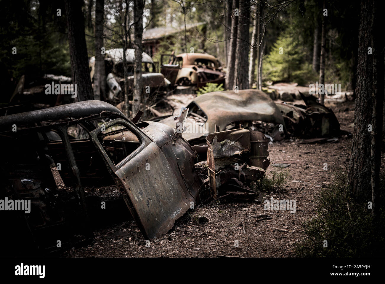 Abandoned car wrecks Stock Photo - Alamy