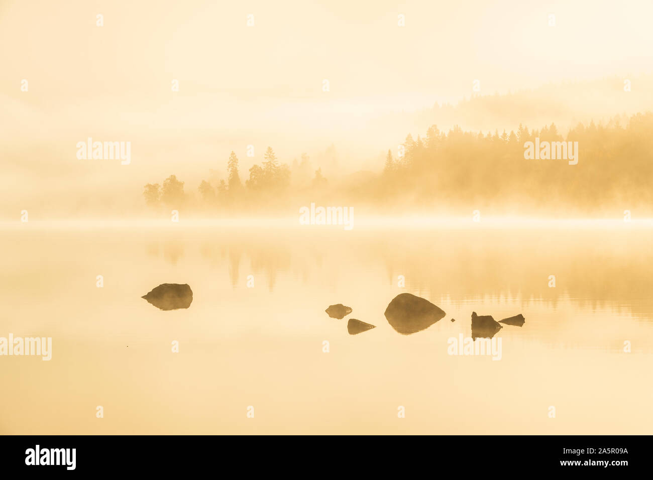 Fog over lake Stock Photo - Alamy