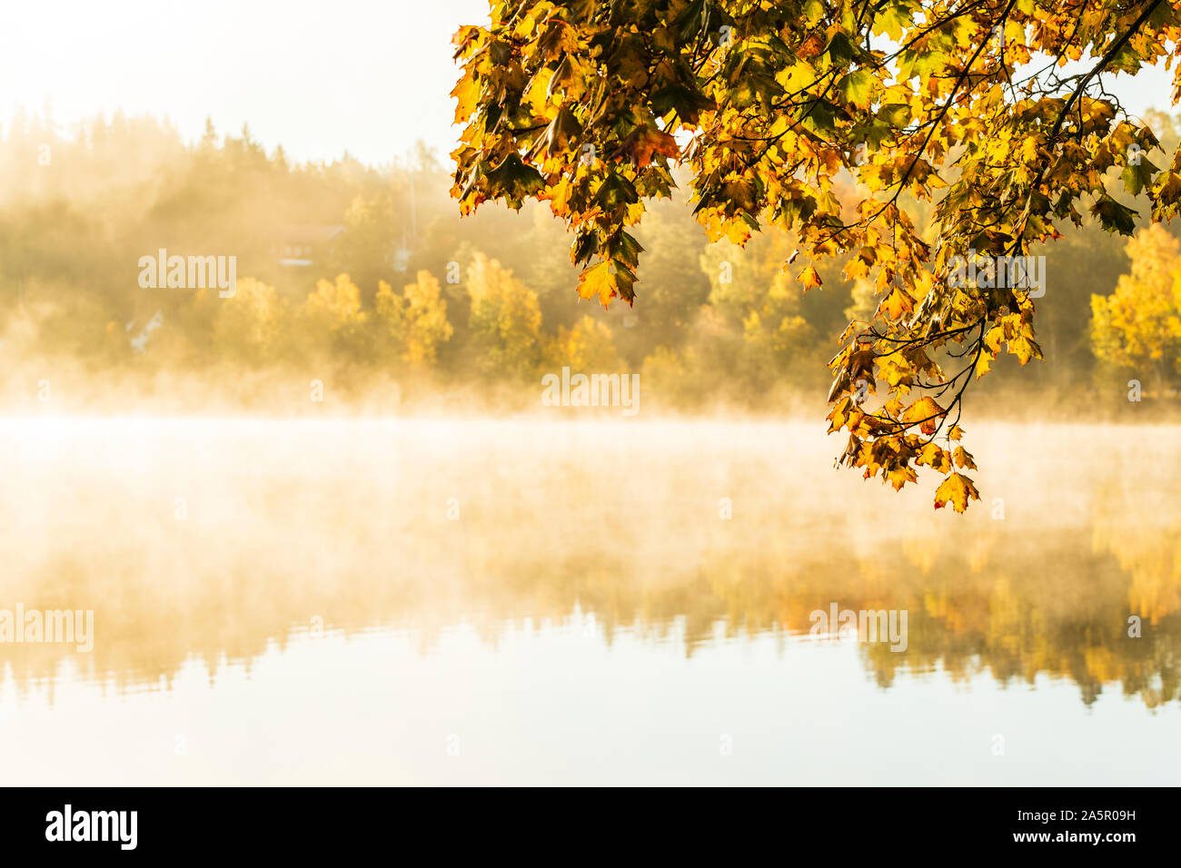 Fog over lake Stock Photo - Alamy