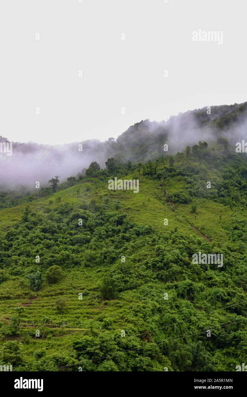 Himalaya forest hi-res stock photography and images - Alamy