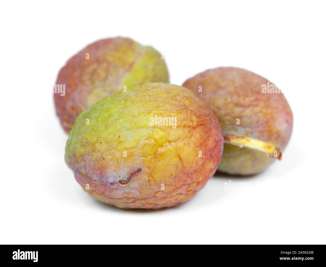 Shrivel shriveled hi-res stock photography and images - Alamy
