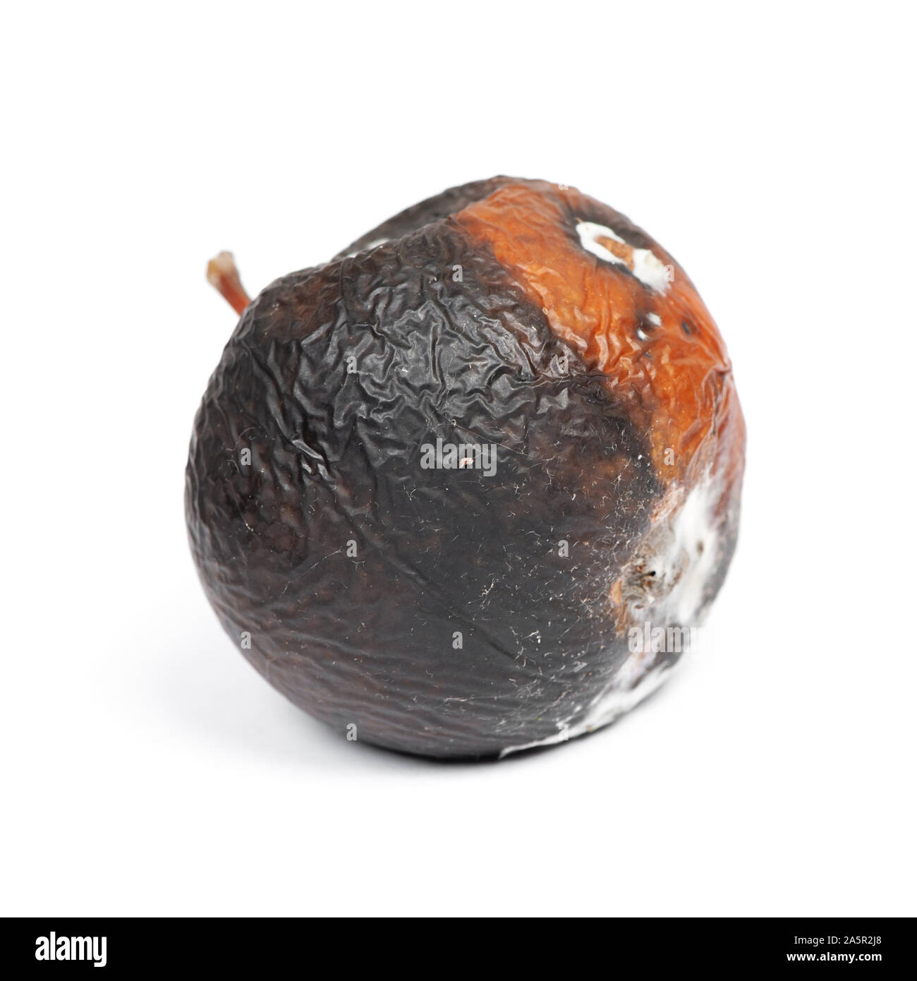 One very rotten apple isolated on white background Stock Photo - Alamy