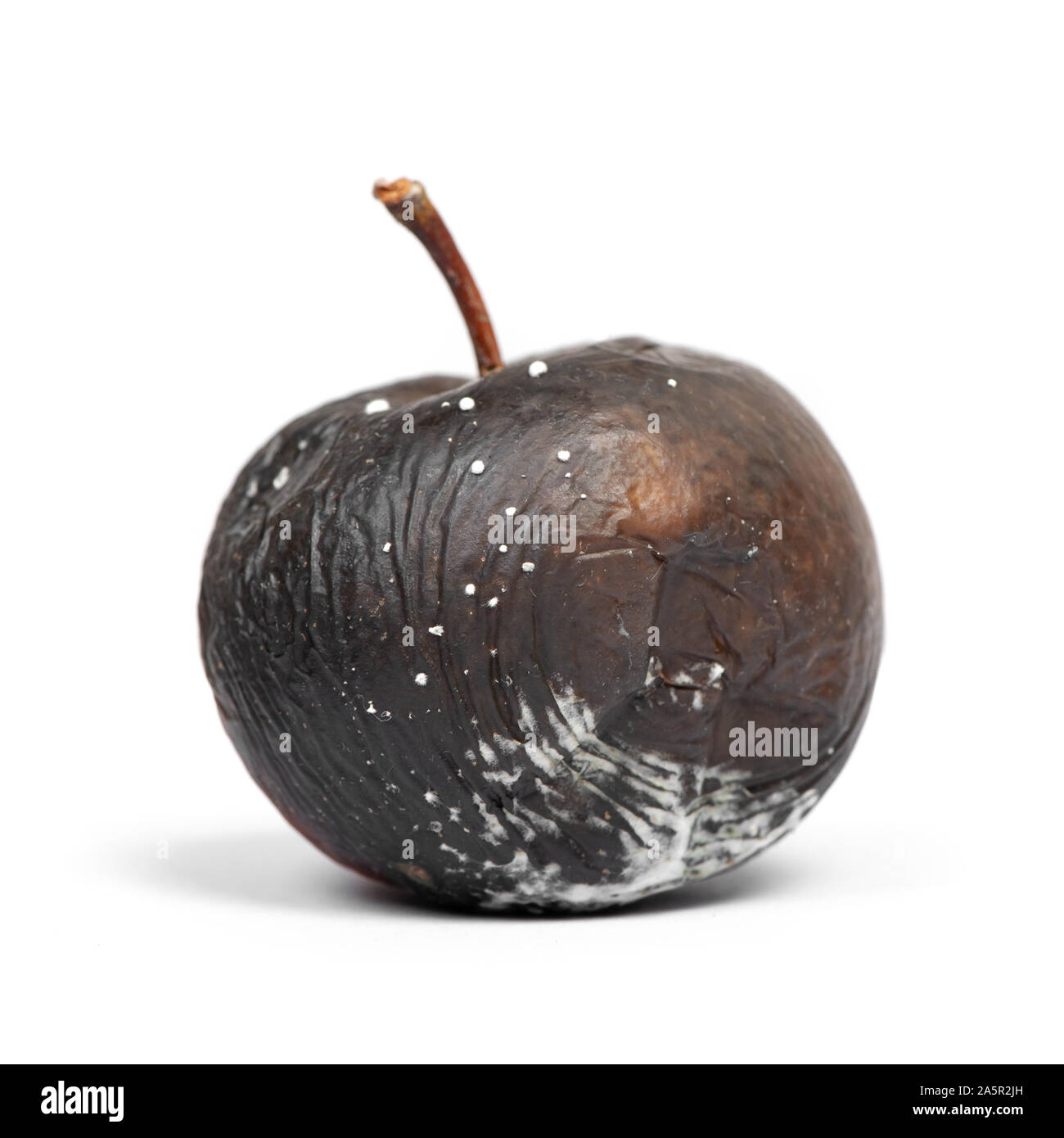 One very rotten apple isolated on white background Stock Photo - Alamy