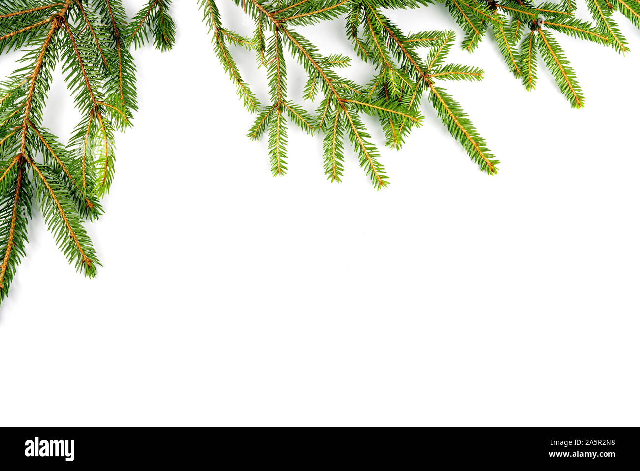 Merry christmas trees made hi-res stock photography and images - Alamy