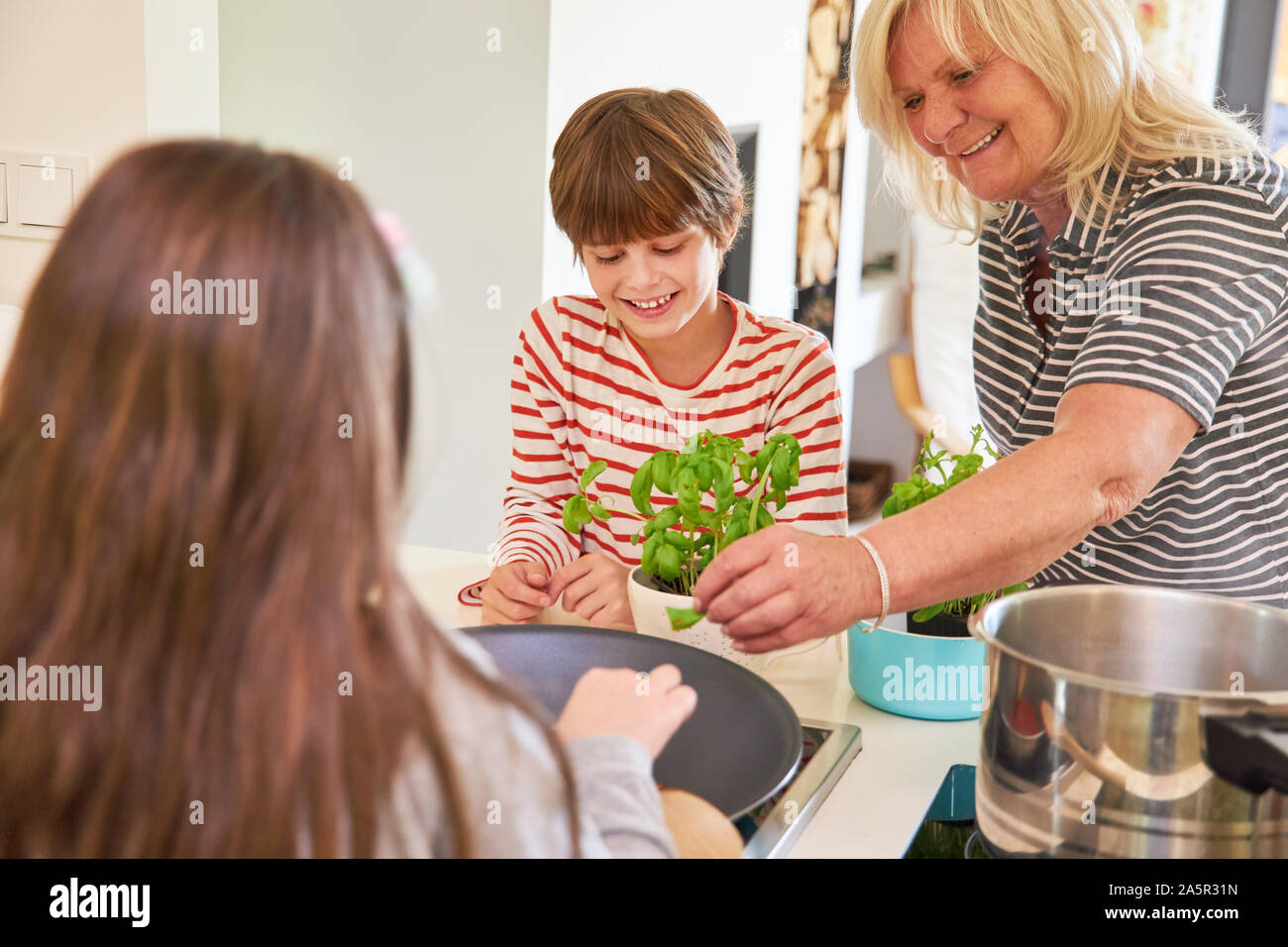 Children learn to cook healthy with the grandma together in the kitchen ...