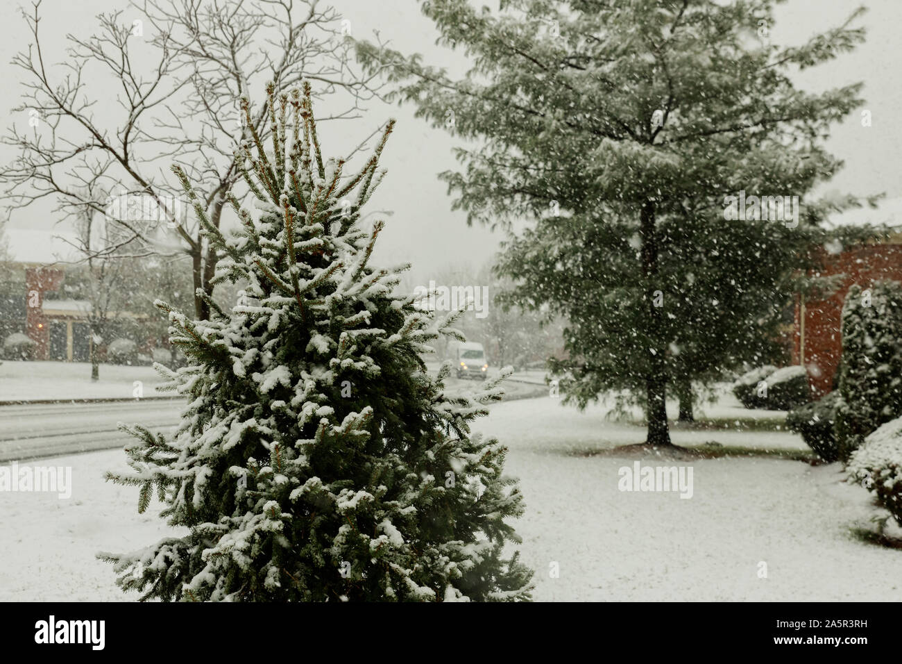 Seasonal winter snow covered street trees and houses Canada and USA ...